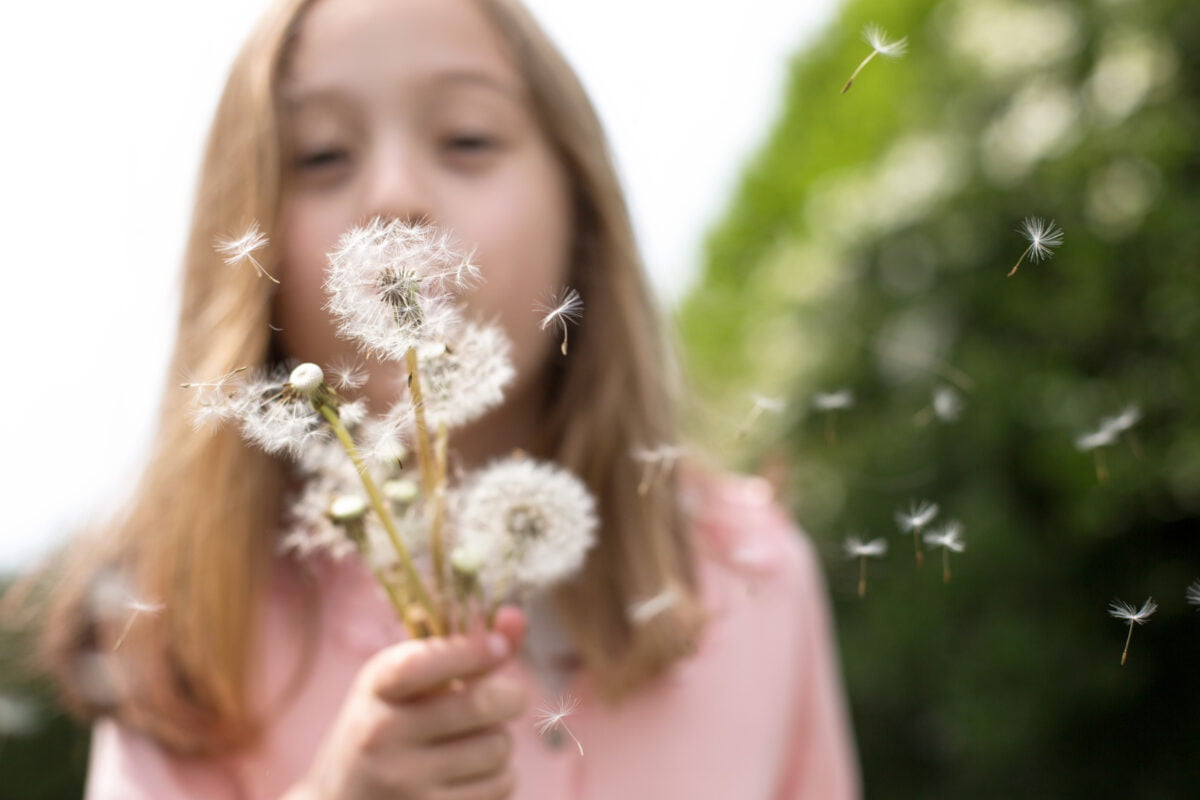 Portfolio – Kia Porter Photography